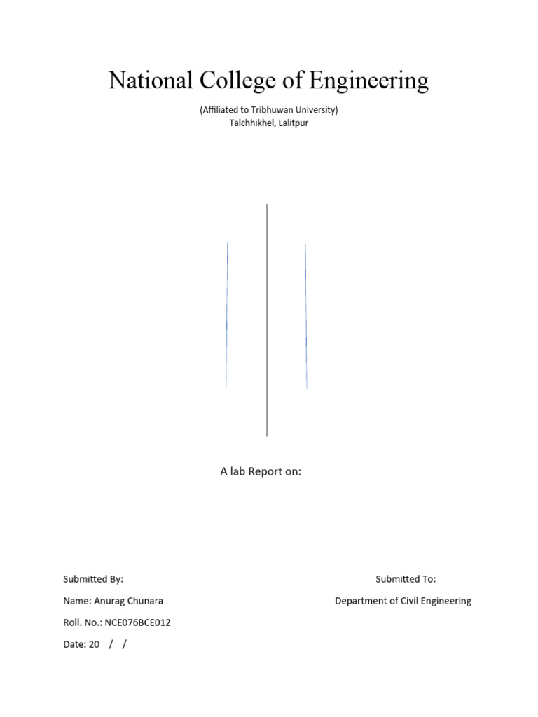 Lab Report: Civil Engineering Project | PDF