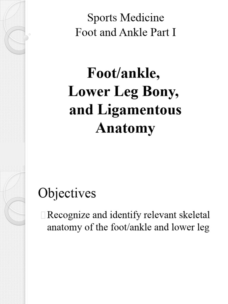 Foot and Ankle Anatomy Overview | PDF | Foreign Language Studies ...