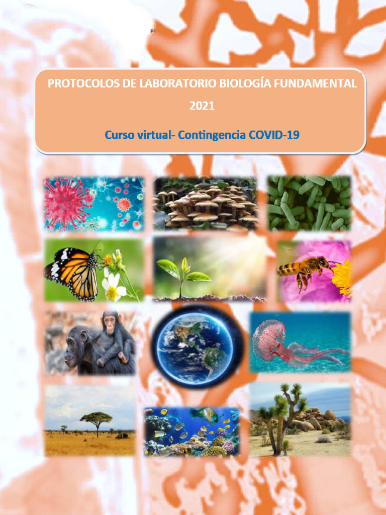 Protocolo 5 A 2023 M.1 | PDF | Microscopio | Óptica