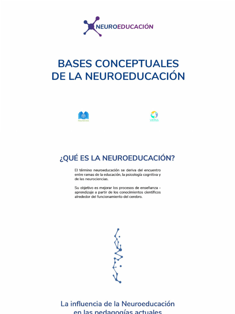 Bases Conceptuales | PDF