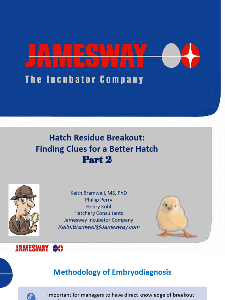 Hatch Residue Part 2 | PDF | Chicken | Egg