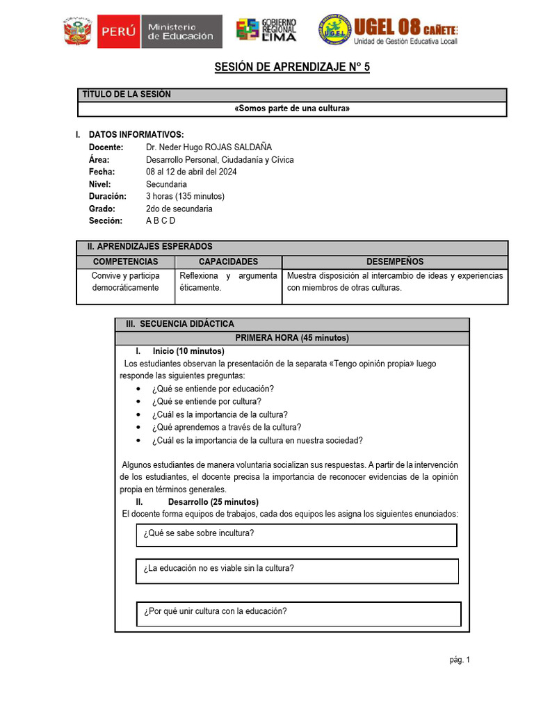 SESIÓN DE APRENDIZAJE Nº 5 | PDF | Maestros | Aprendizaje