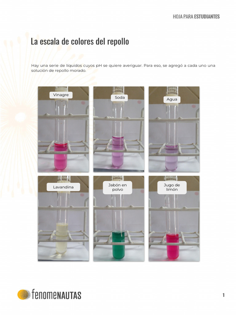 La Escala de Colores Del Repollo para Determinar PH | PDF