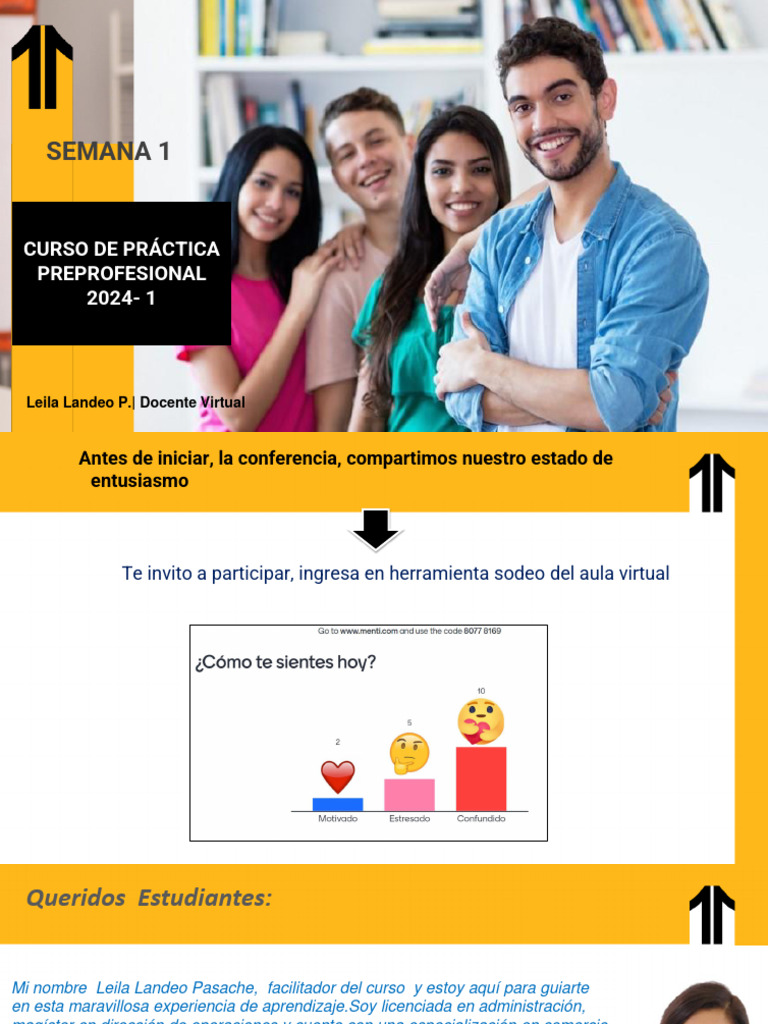 Curso Práctica Preprofesional 2024-1 | PDF | Salón de clases | Maestros