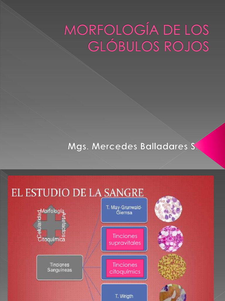 Morfologia de Los Hematies | PDF | Glóbulo rojo | Anemia