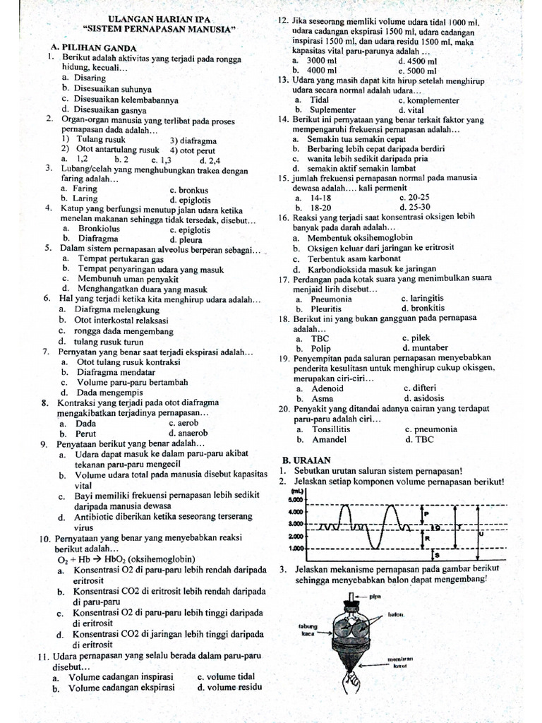 Latihan Soal Sistem Pernapasan Kelas 8 | PDF Latihan Soal Sistem Pernapasan Kelas 8 | PDF