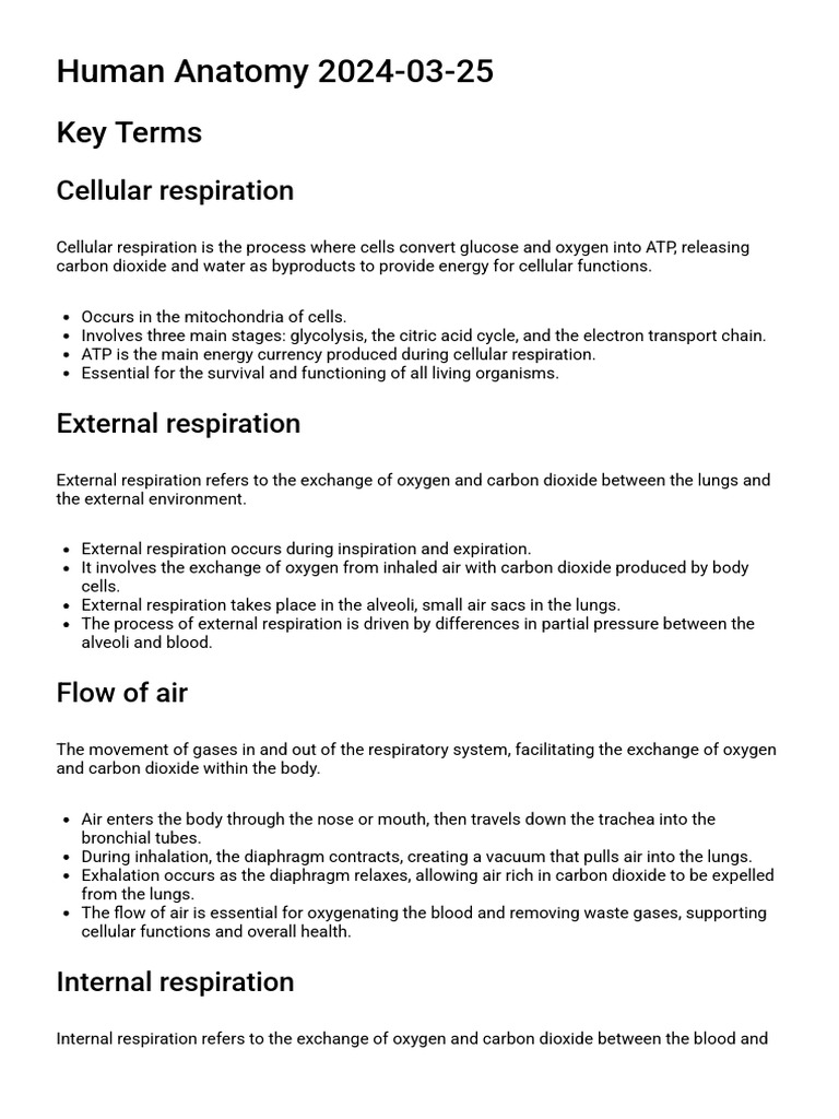 Human Anatomy: Respiratory System Overview | PDF | Respiratory Tract ...
