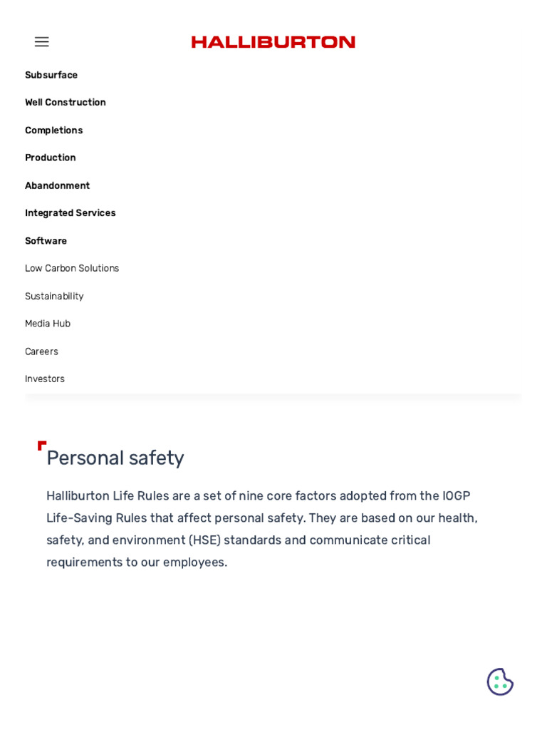 Halliburton Life Rules1e | PDF | Sustainability | Natural Environment