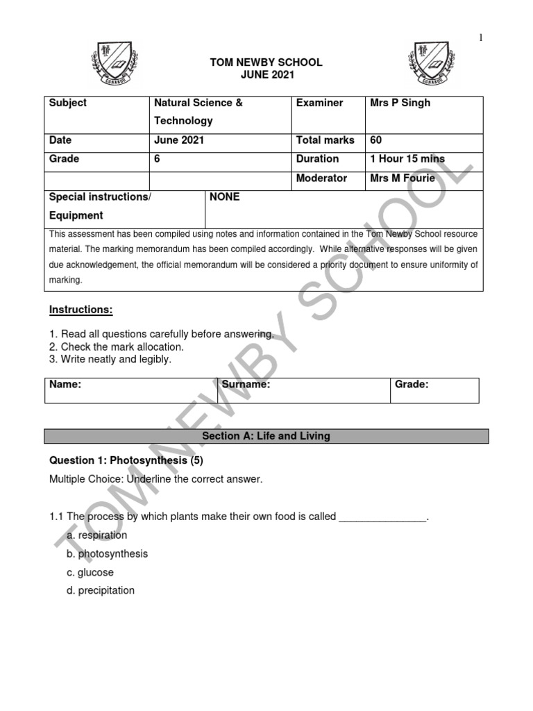 Grade 6 NSTech Exam June 2021 | PDF | Mixture | Photosynthesis