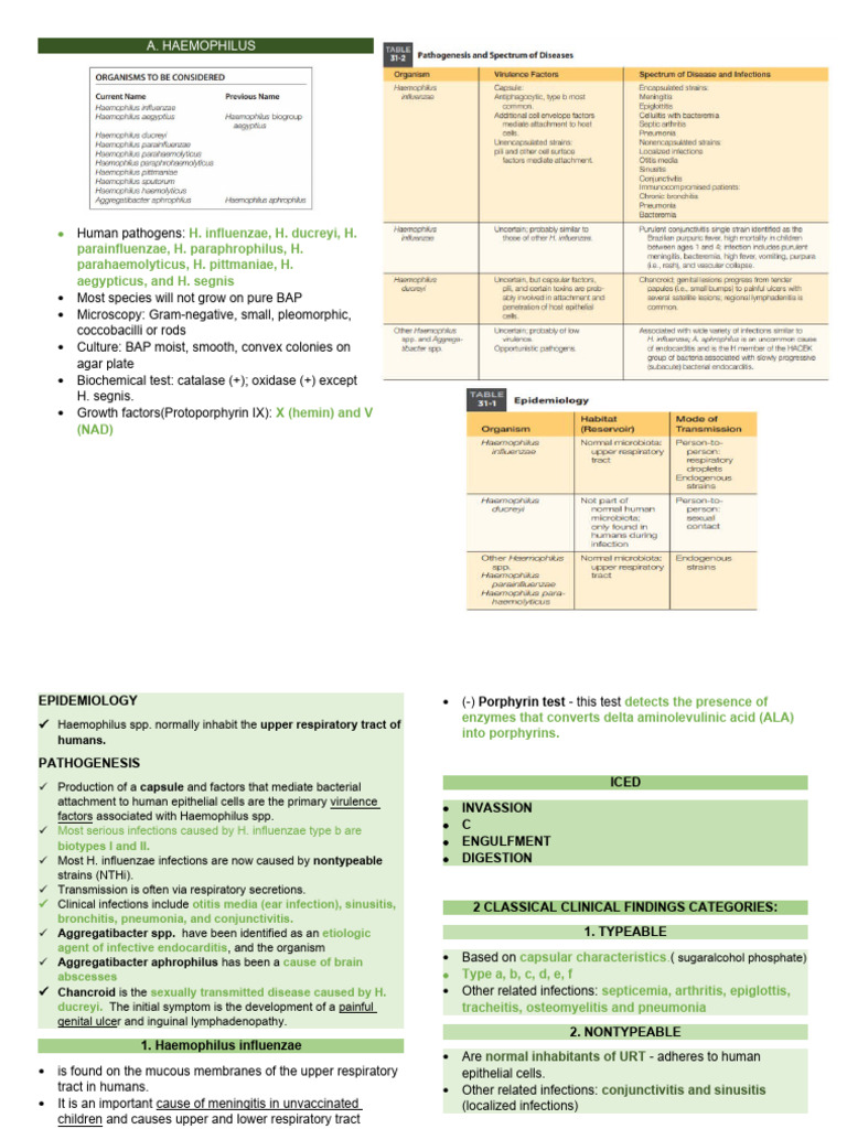 Bacte Finals - Haemophilus, Bordet, Legionella | PDF | Biology ...