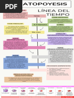 Anatomía de la Cápsula de Glisson | PDF | Tejido adiposo | Riñón