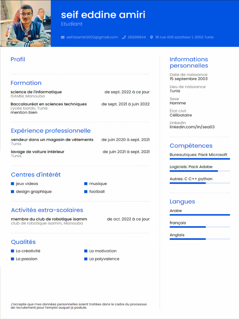 CV Seif Eddine Amiri | PDF