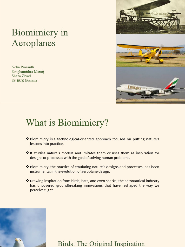 Biomimicry in Aeroplanes | Download Free PDF | Airplane | Flight
