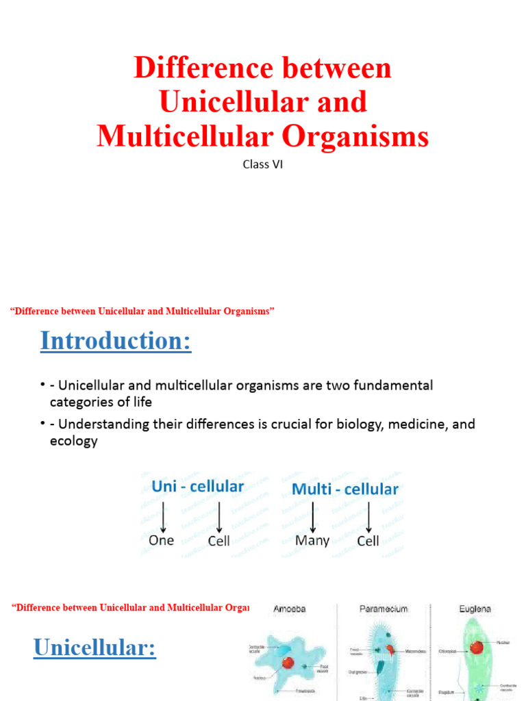 Unicellular vs Multicellular Organisms | PDF | Science & Mathematics