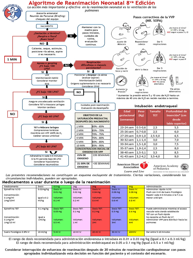 Algoritmo 2020 Reanimación Neonatal | PDF | Reanimación cardiopulmonar ...