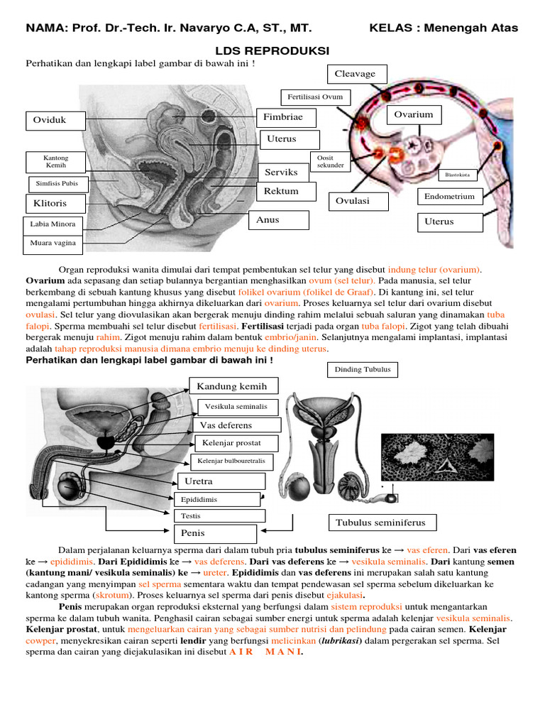 Lds 6 Reproduksi Ft. Ryo v.1 | PDF