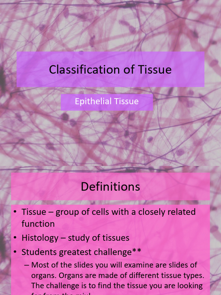 ClassificationofTissue Epith | PDF | Epithelium | Tissue (Biology)