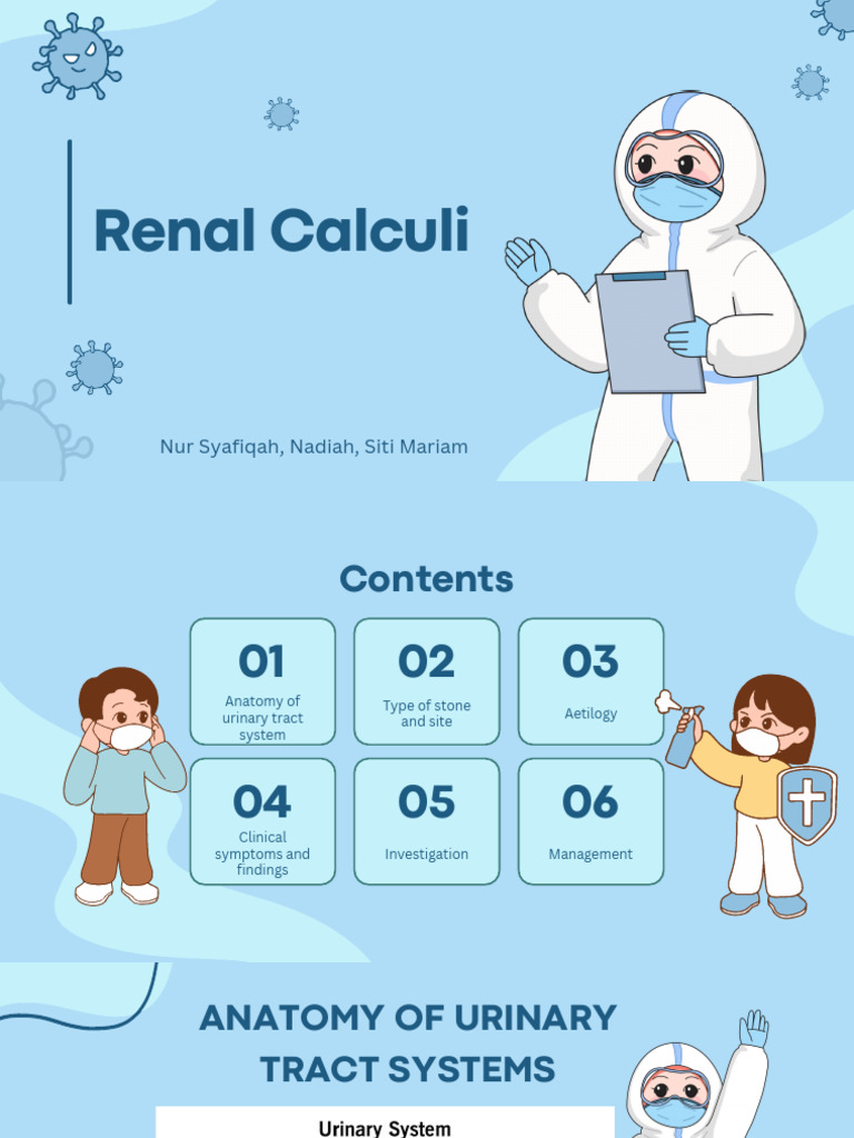 Anatomy of Urinary Tract Systems - 20240117 - 125604 - 0000 | PDF ...