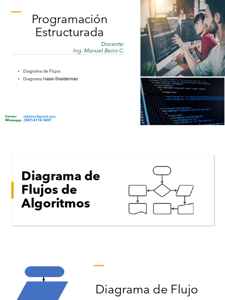 Diagramas de Flujo - Nassi-Sneiderman | PDF | Algoritmos | Programación de computadoras