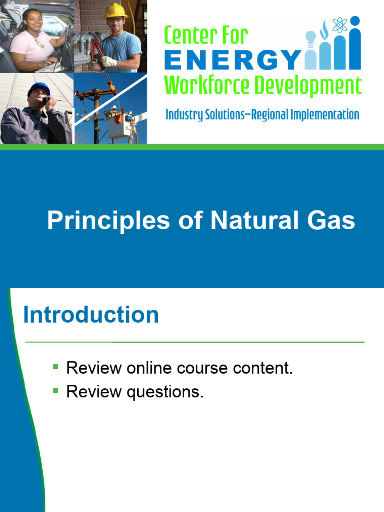 PriniplesofNaturalGasActivity 5sep | PDF | Natural Gas | Combustion
