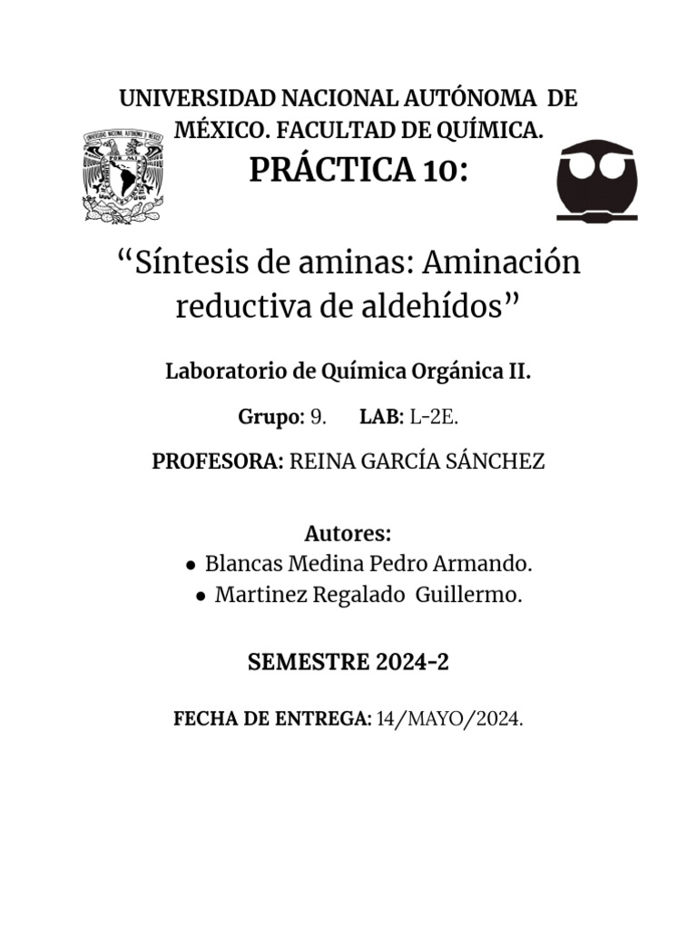 Informe Práctica Aminación Reductiva | PDF | Sustancias químicas ...