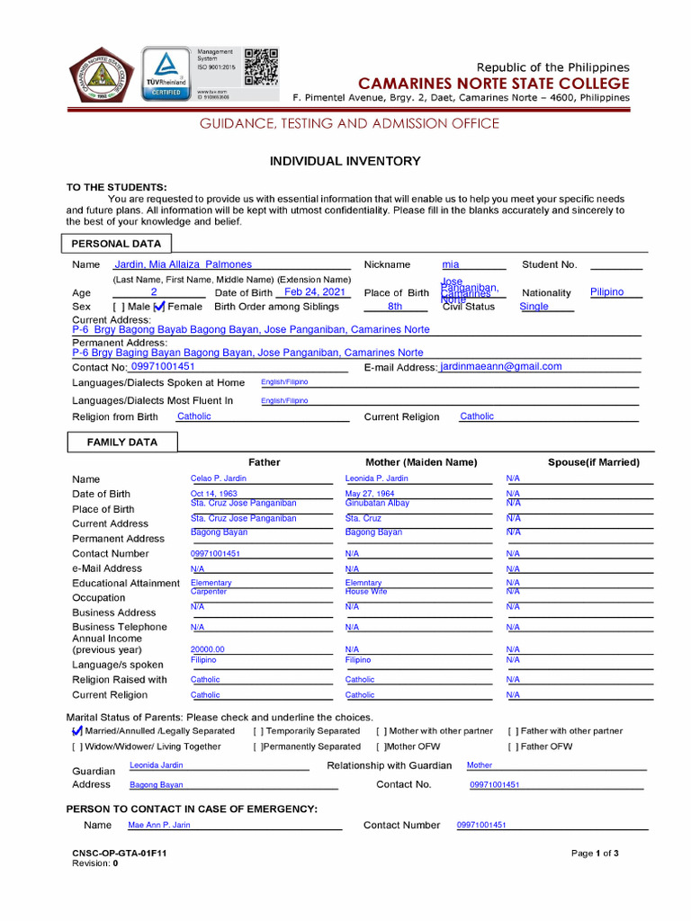 Individual Inventory Form | PDF