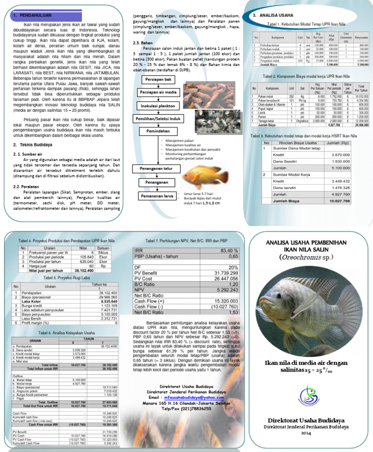 Leaflet Analisa Usaha Ikan Nila Salin-Pembenihan-Desain Ambi | PDF | Sains & Matematika