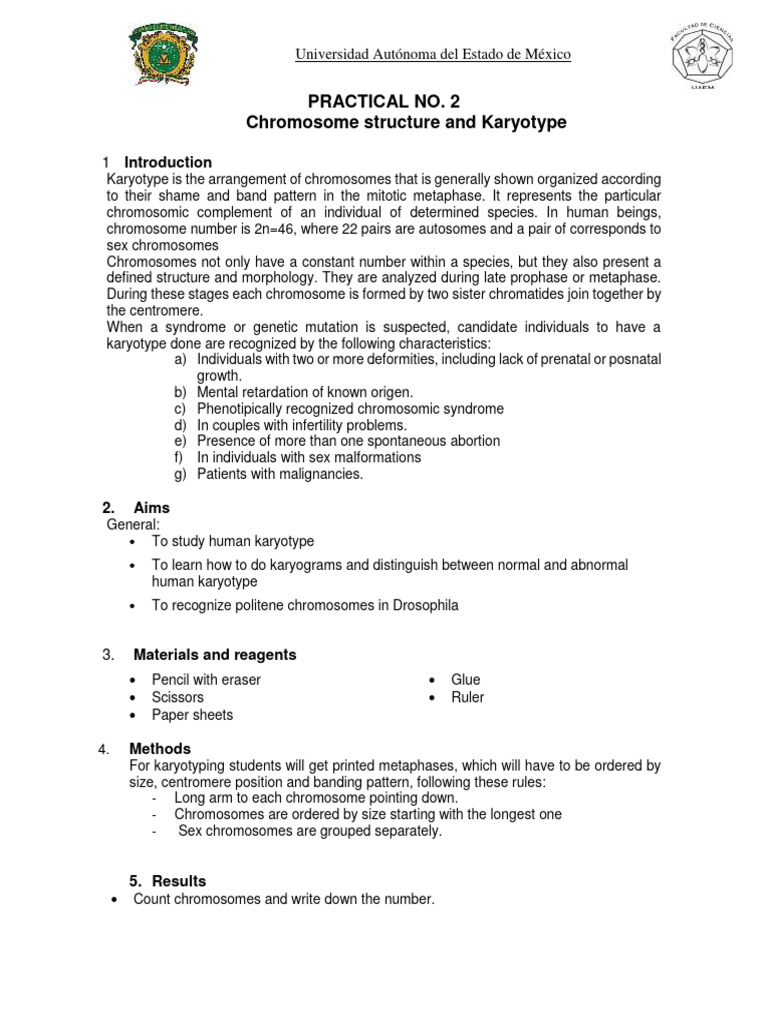 PRACTICAL NO2 Karyotype | PDF | Karyotype | Chromosome