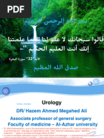 Acute Retention of Urine (AROU) Overview | PDF | Genitourinary System | Diseases And Disorders