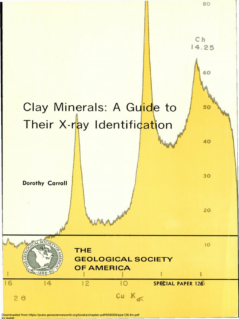 Geokniga Clay Minerals Guide Their x Ray Identification | PDF ...