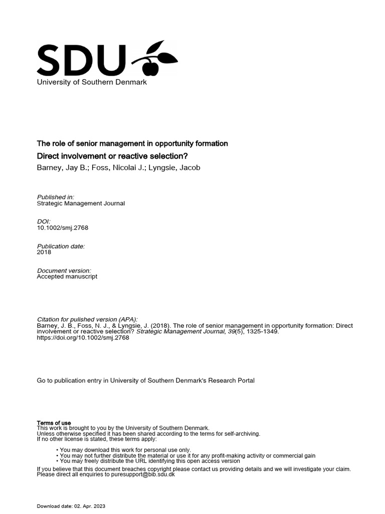 The Role of Senior Management in Opportunity Formation - Direct ...