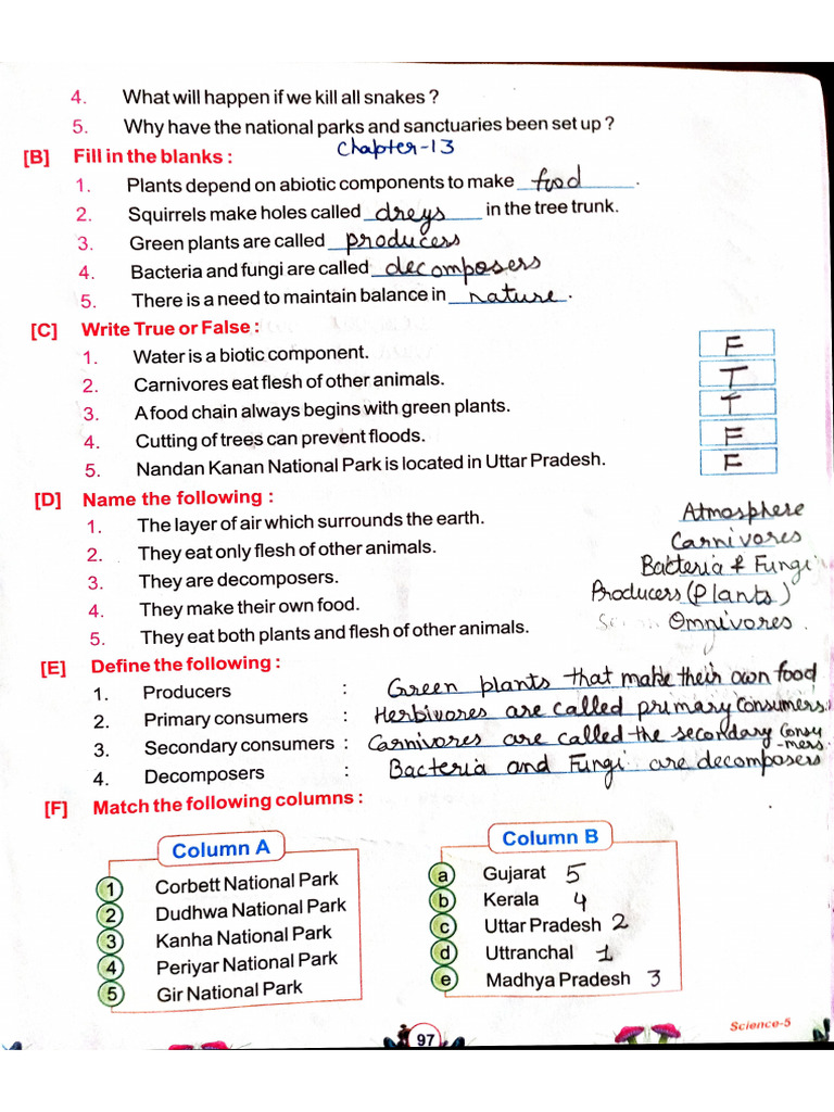 Science Ch 11 Bookwork Pdf