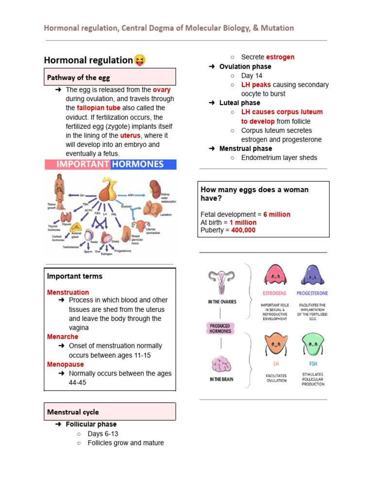 Regulation Dogma Mutation | PDF | Menstrual Cycle | Dna