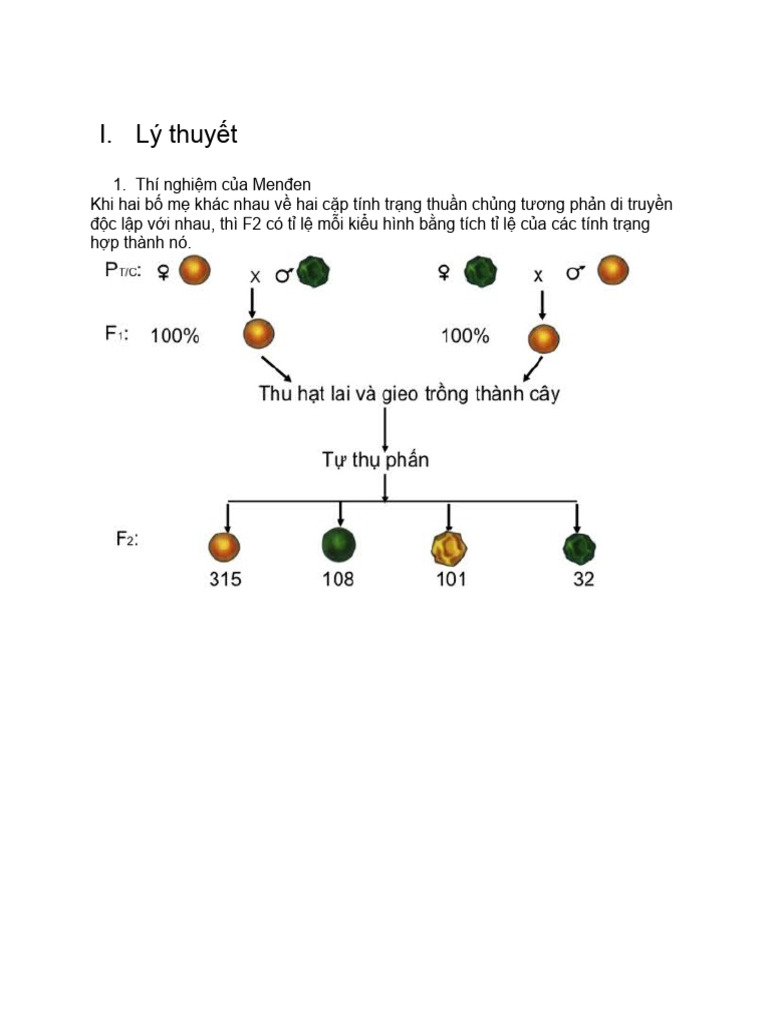 BT lai 2 cặp TT | PDF