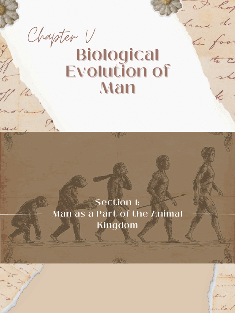 Middle School Biology Activities To Celebrate World Evolution Day Playful Minimal Educational ...