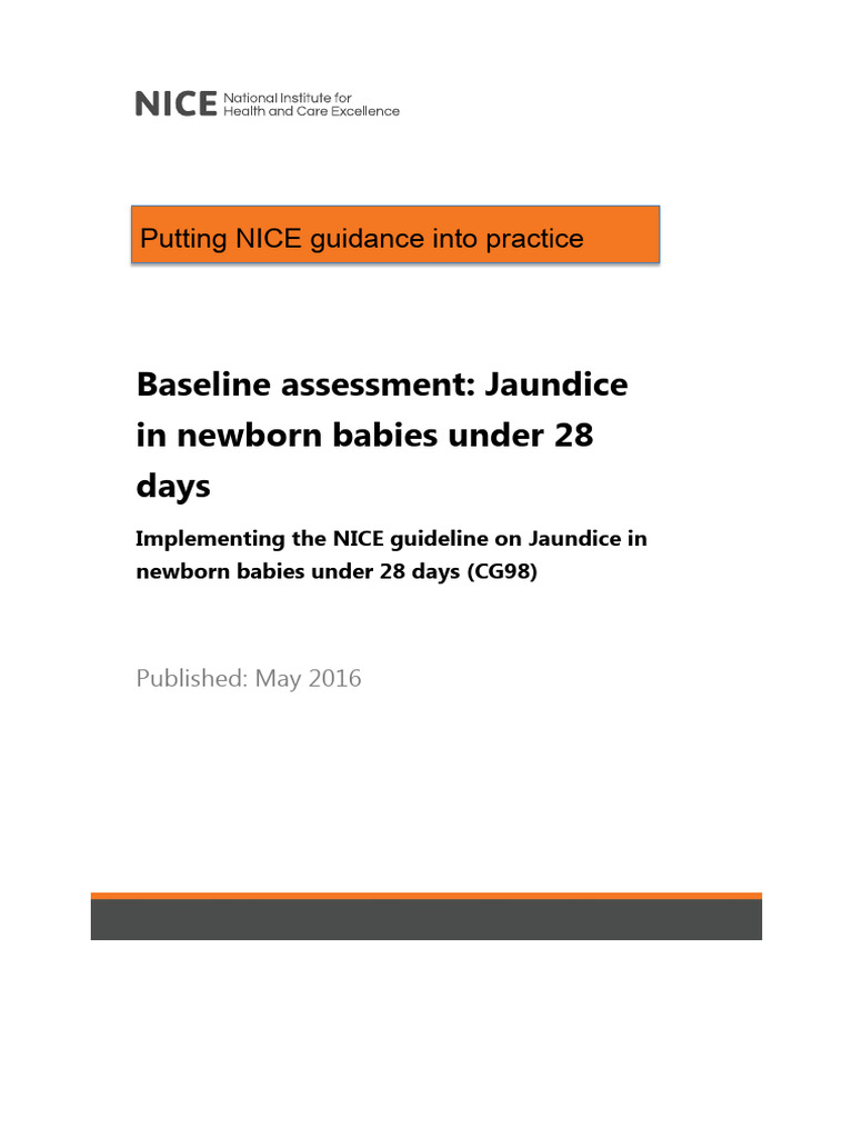 Baseline Assessment Tool Excel 245366461 | PDF | Breastfeeding ...