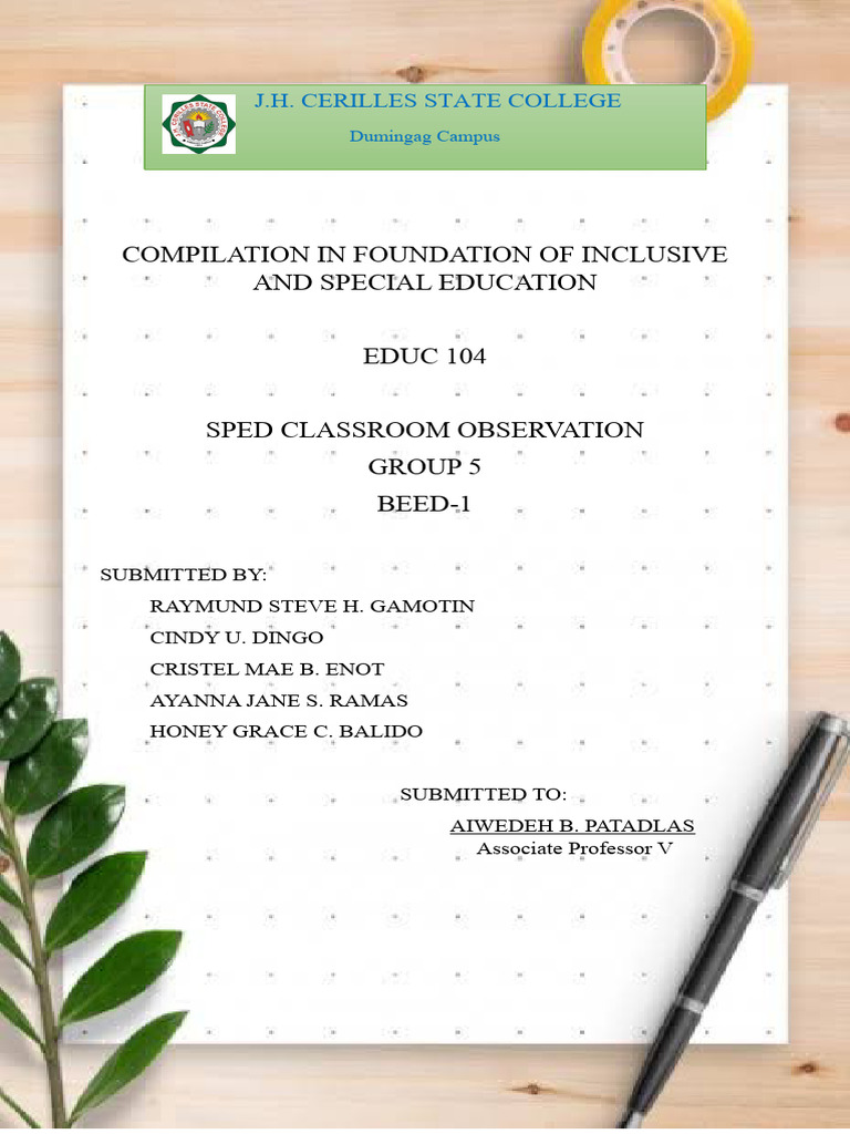 SPED Classroom Observation | PDF | Communication | Nonverbal Communication