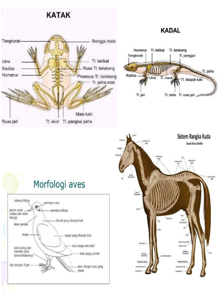 Print Tugas Sasa | PDF