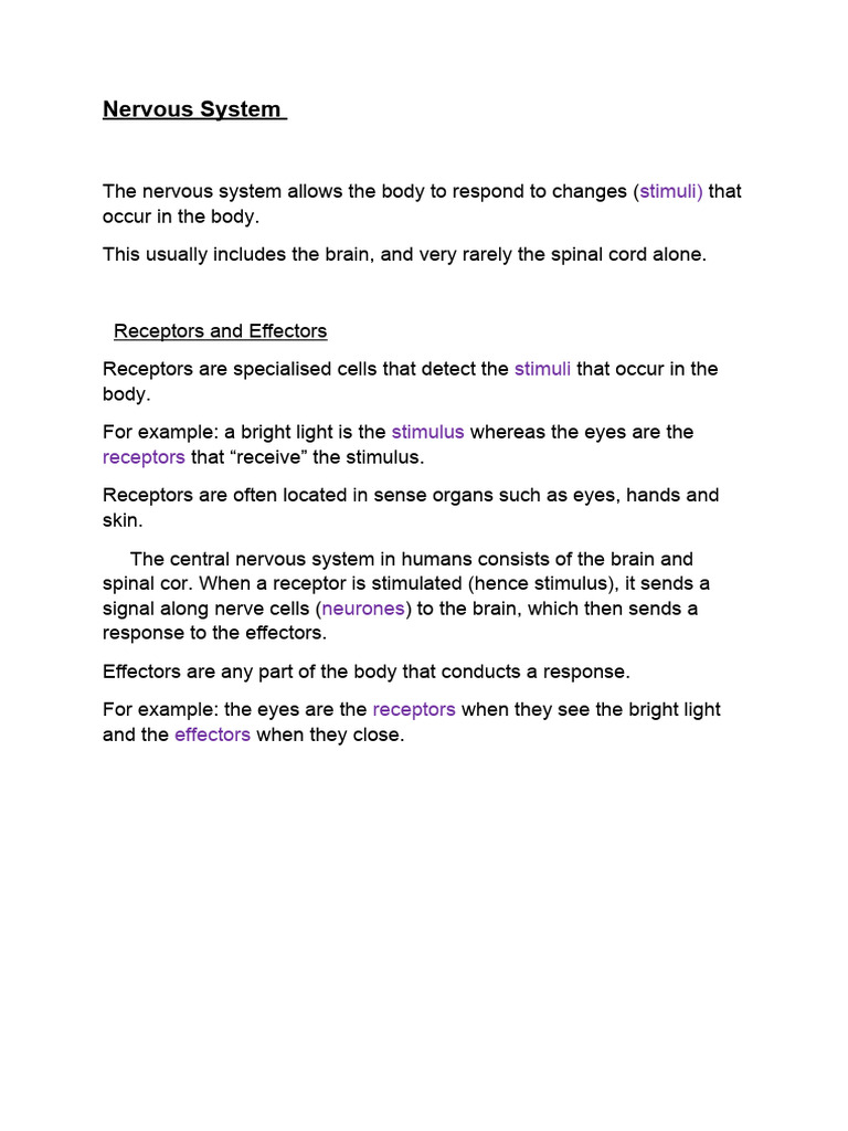 Nervous System | PDF | Nervous System | Stimulus (Physiology)