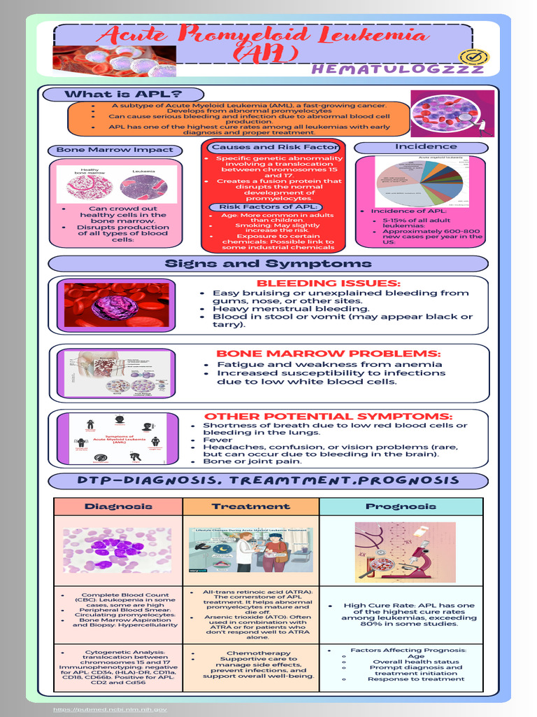 Research Source Map Education Infographic in Violet Yellow Semi ...