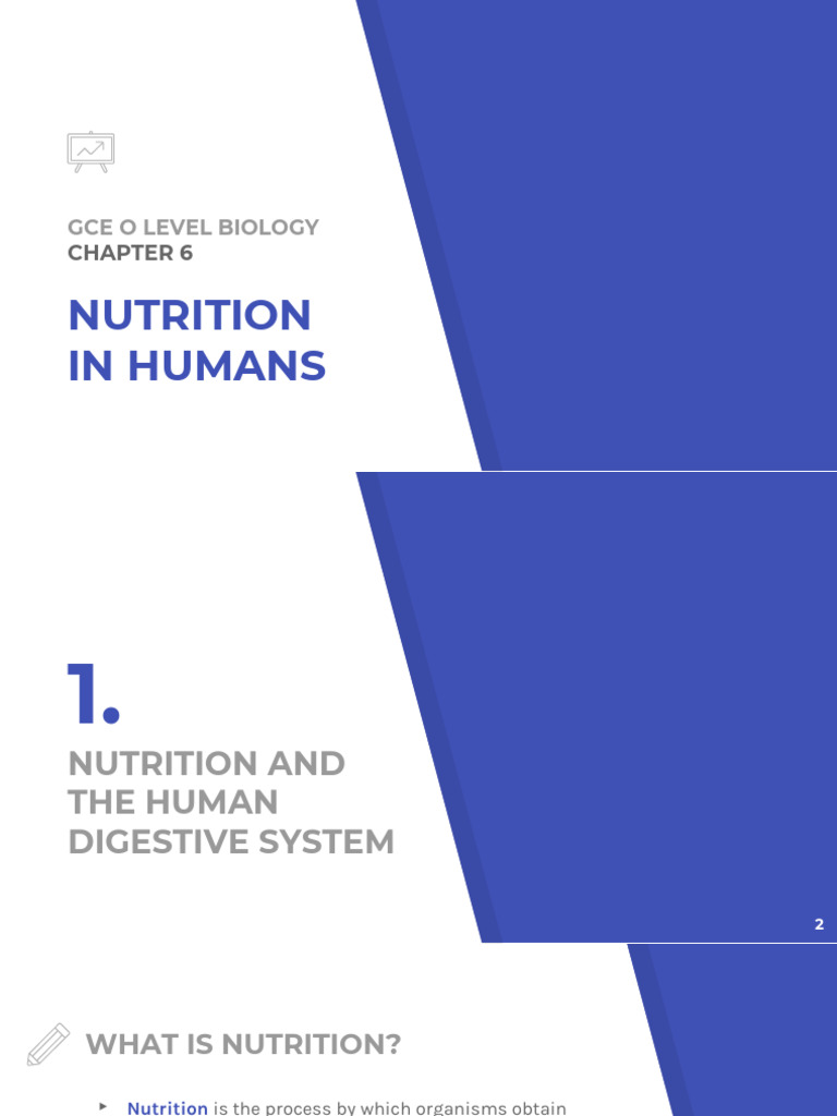 Human Nutrition and Digestive System | PDF | Digestion | Stomach