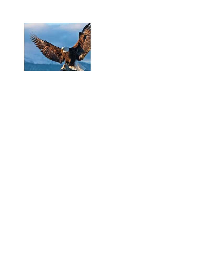 garuda 2 | PDF