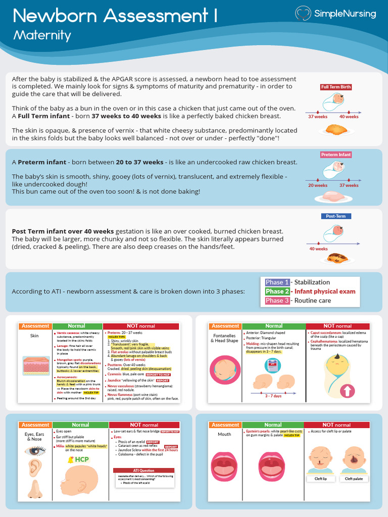 1 - Head To Toe 1 | PDF | Infants | Preterm Birth