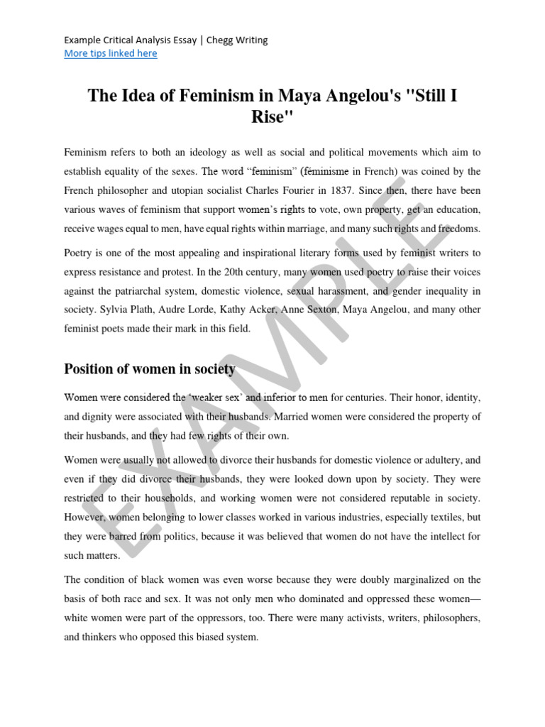 Critical Analysis Essay Example | PDF | Gender Studies | Feminism