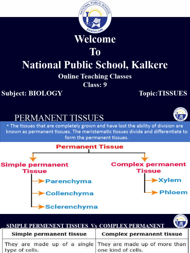 L2-Tissues-4Complex Tissues-26.07.21 | PDF | Tissue (Biology) | Biology