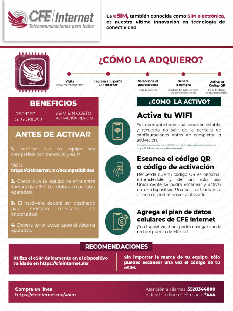Infografia Esim v2 | PDF