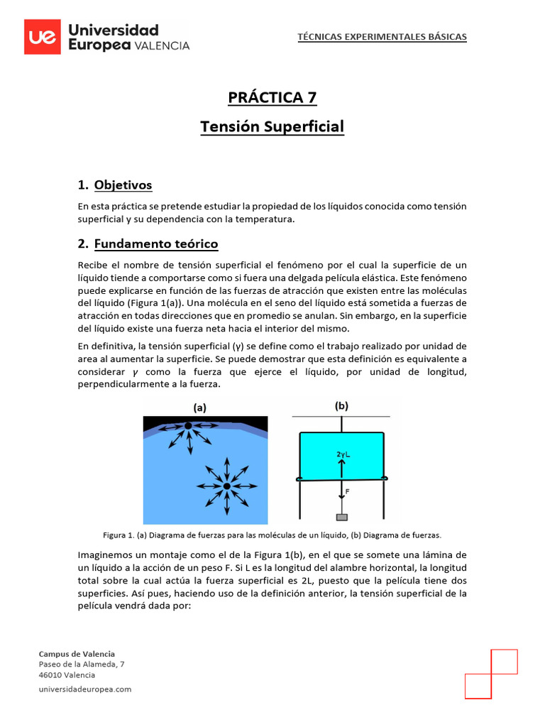 PRACTICA7. Tension Superficial | PDF | Tensión superficial | Líquidos