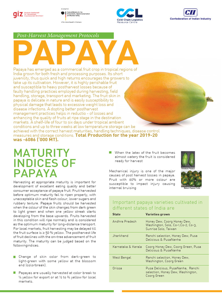 Papaya | PDF