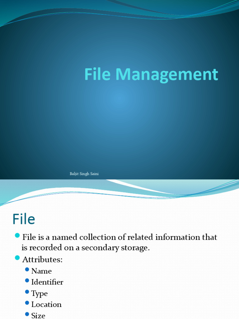 FIle Management | PDF | Computer File | File System FIle Management | PDF | Computer File | File System
