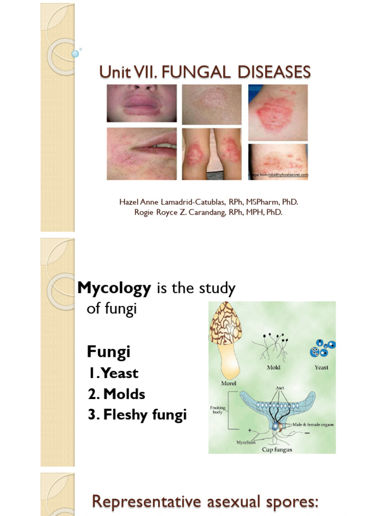 Unit v. Fungal Diseases Rev.3 | PDF | Fungus | Candidiasis